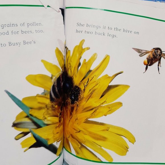 Harcourt Trophies | Other | Harcourt Trophies Grade Time Together ...